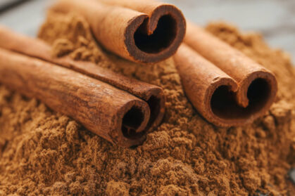Cassia Vs Ceylon Cinnamon: The Ultimate Guide | Organic India