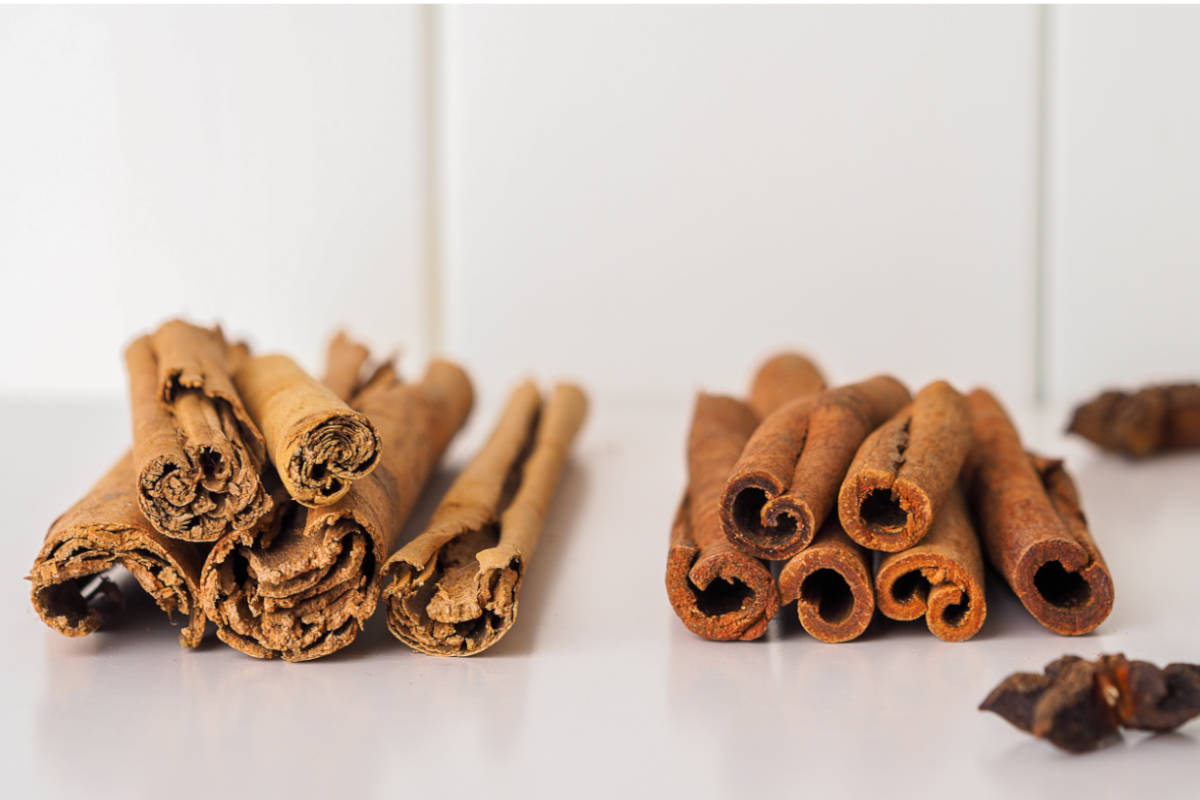Cassia Vs Ceylon Cinnamon: The Ultimate Guide | Organic India