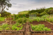 A Guide to Regenerative Gardening at Home | Organic India