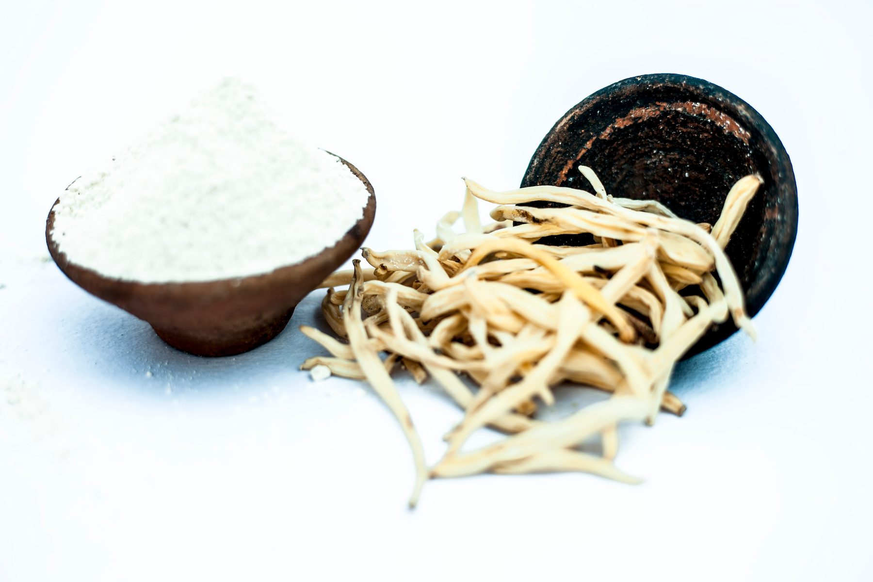 Shwet Musli for Endurance and Performance | Organic India