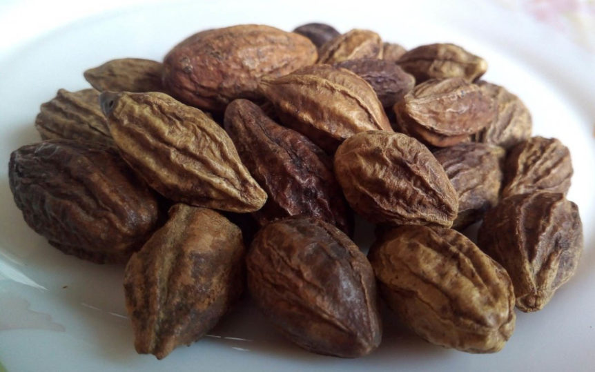 Triphala Benefits: The Power of Amla, Haritaki and Bibhitaki - Organic ... Triphala Benefits: The Power of Amla, Haritaki and Bibhitaki - Organic ...