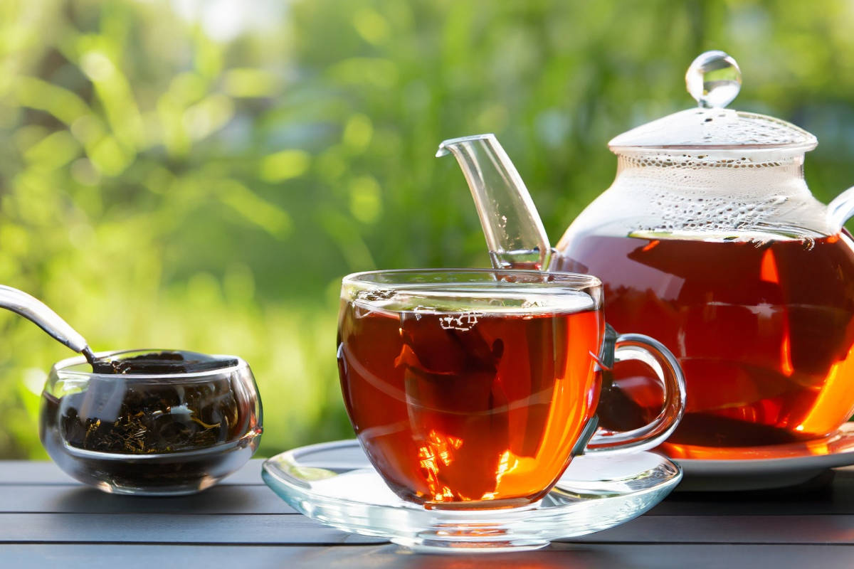 What is Assam Tea? A Guide to this Iconic Brew - Organic India